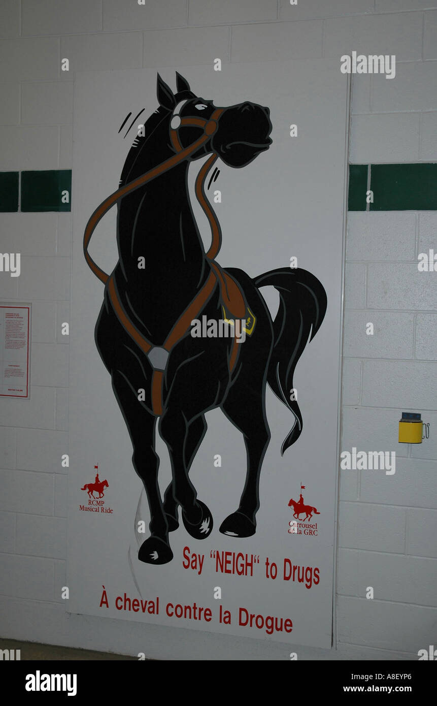 RCMP Headquarters, horse drug cartoon Stock Photo - Alamy