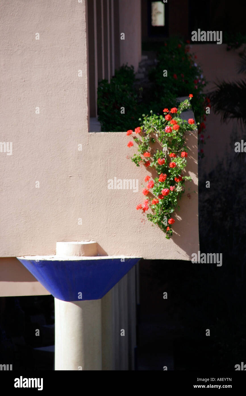 Wall, Column & plant Stock Photo - Alamy