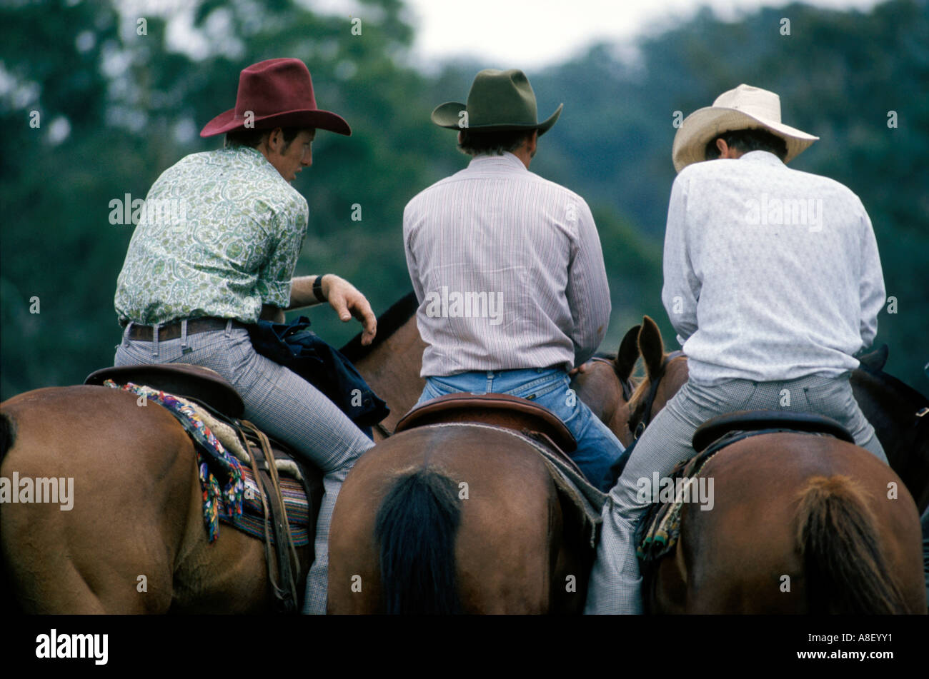 Three cowboys on horseback hi-res stock photography and images - Alamy