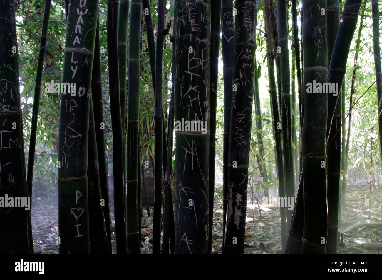 Bamboo carving hi-res stock photography and images - Alamy