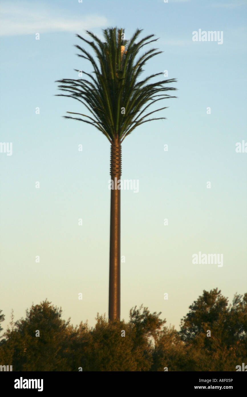 Mobile phone mast disguised as palm tree hi-res stock photography and ...