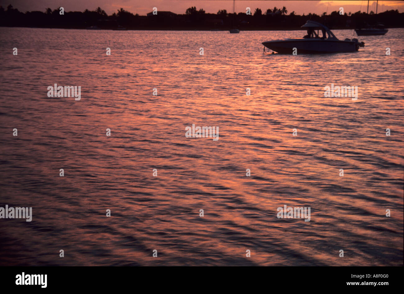 Pink speedboat hi-res stock photography and images - Alamy