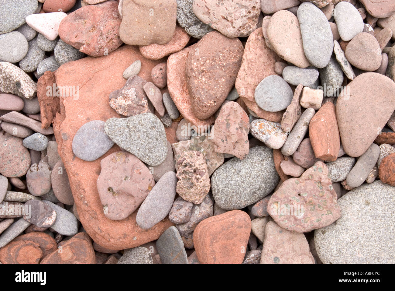 Flat rocks along the shoreline Stock Photo - Alamy