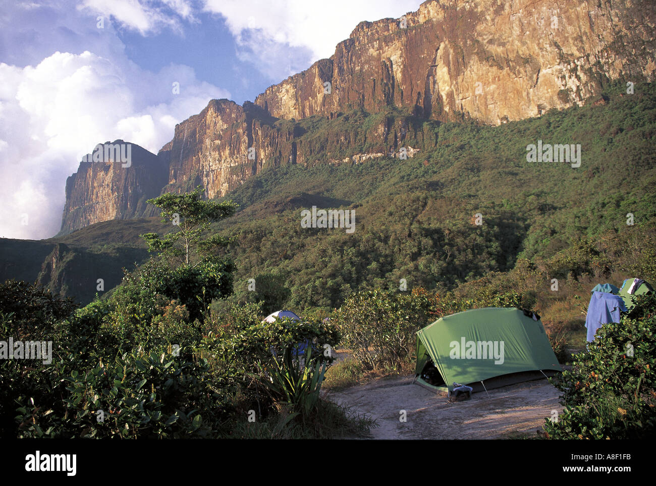 Mount roraima national park hi-res stock photography and images - Alamy