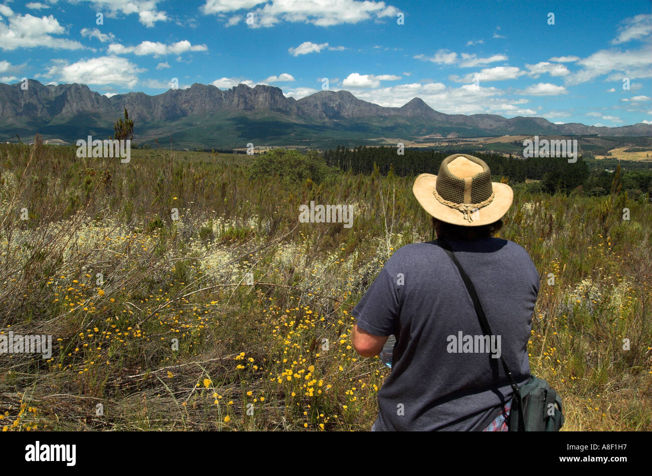 Helderberg mountains hi-res stock photography and images - Alamy