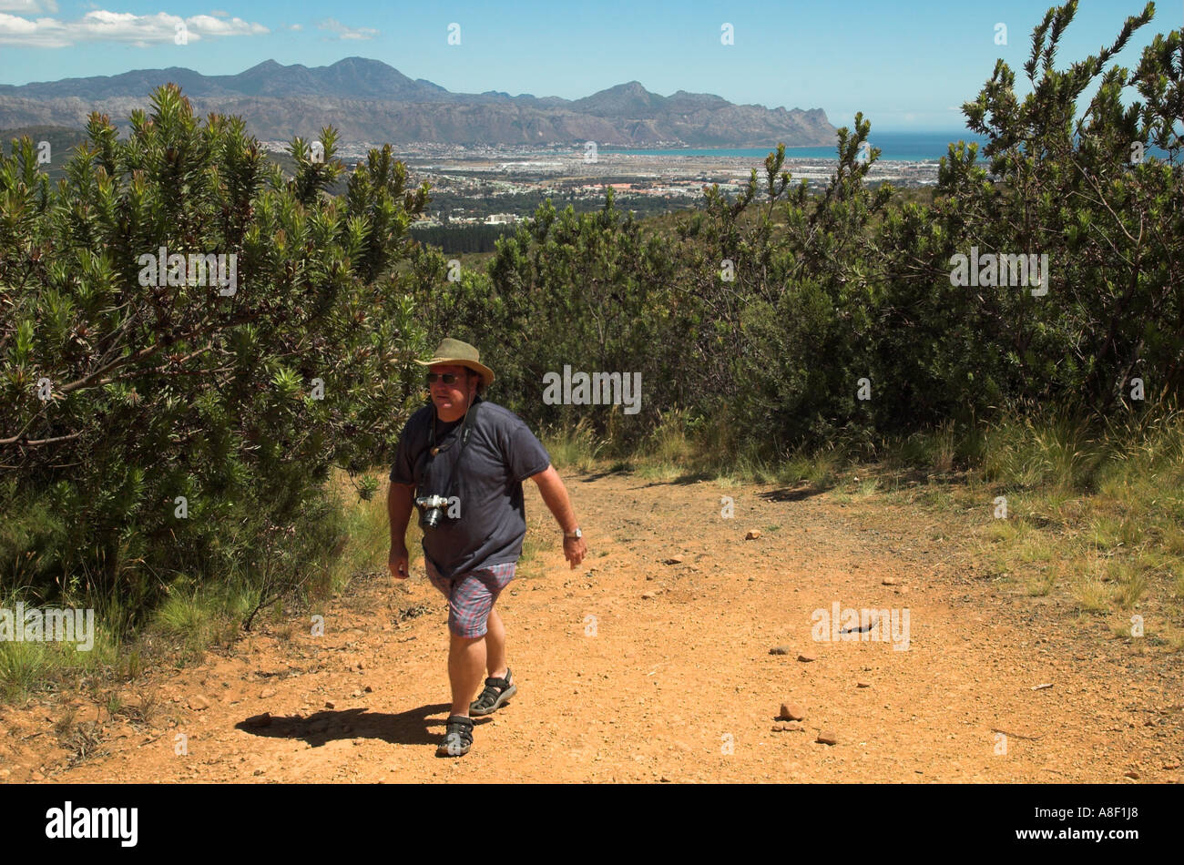 Fynbos Nature Reserve In The Background High Resolution Stock ...