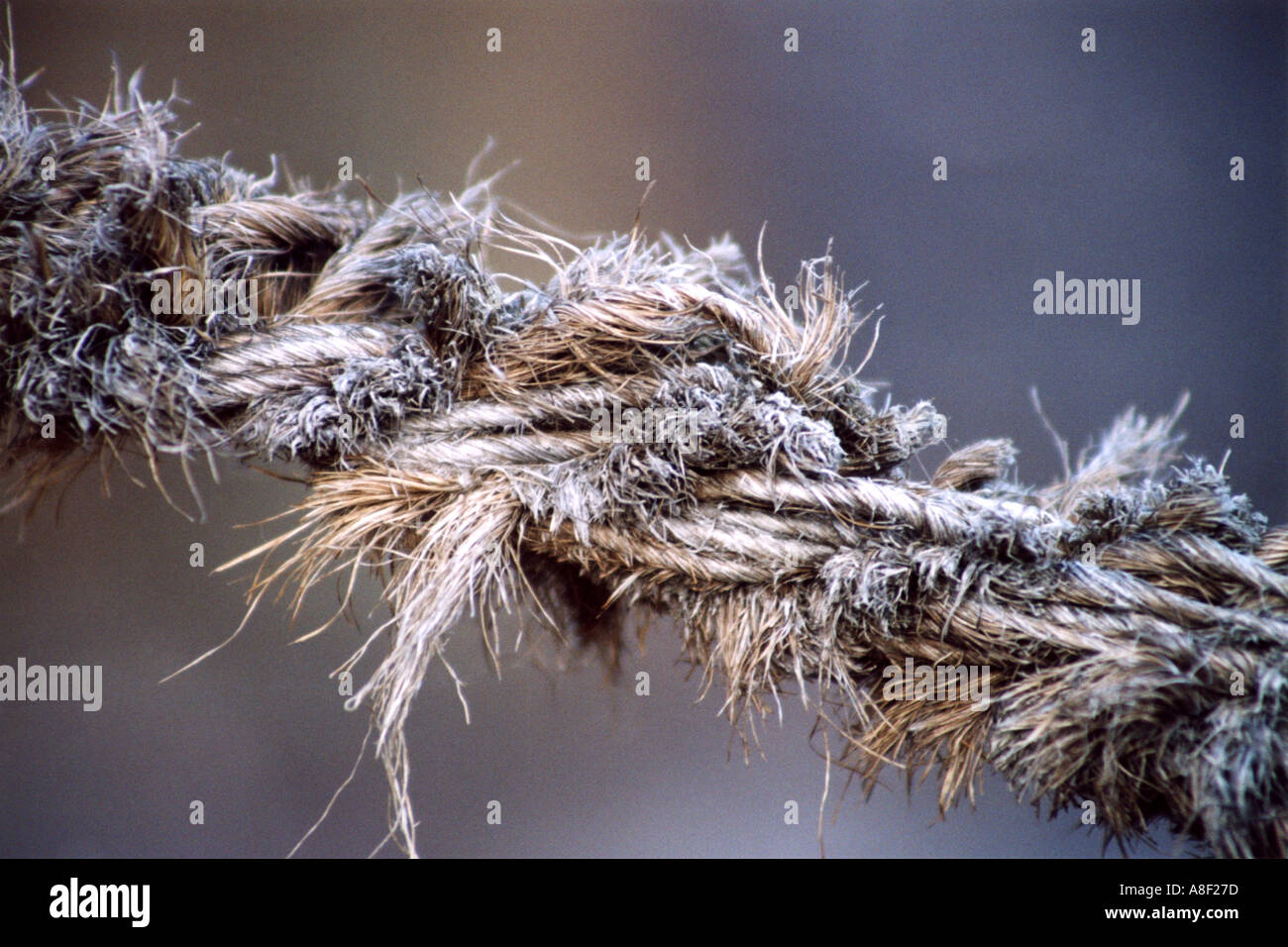 Twist rope hi-res stock photography and images - Alamy