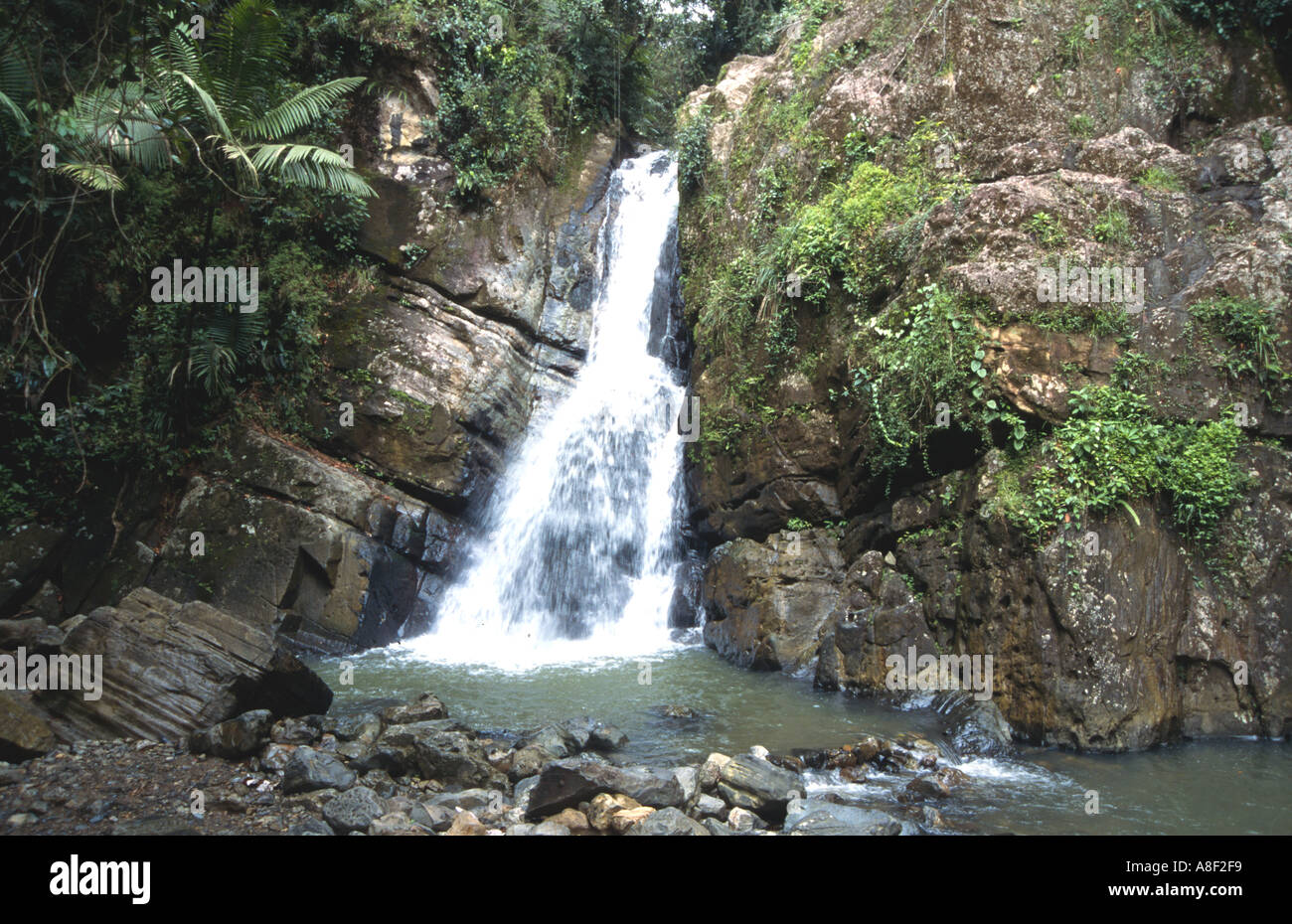 Waterfall in El Yunque rainforest the Caribbean National Forest Puerto ...