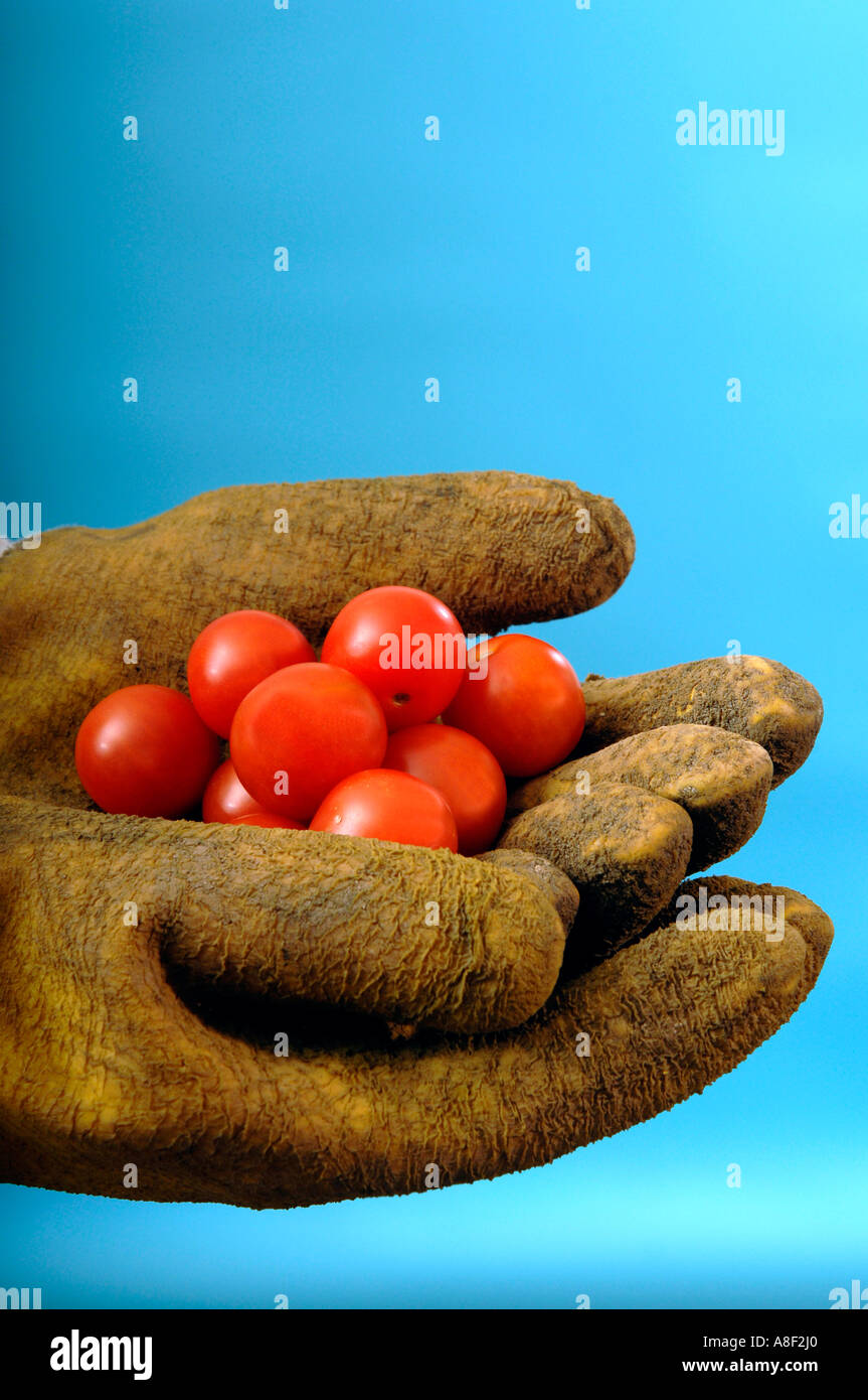 Gardeners offering hi-res stock photography and images - Alamy