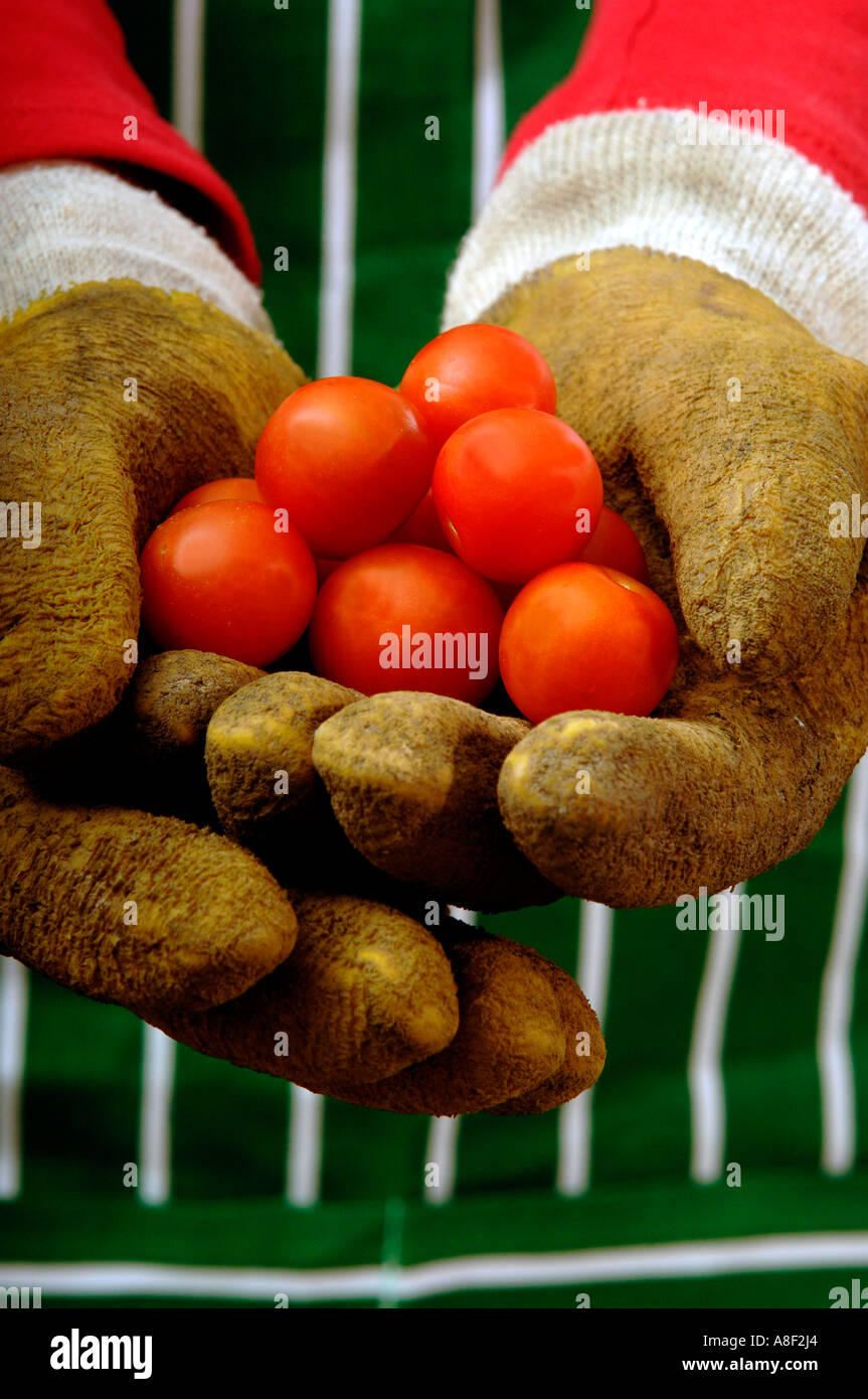 Gardeners offering hi-res stock photography and images - Alamy