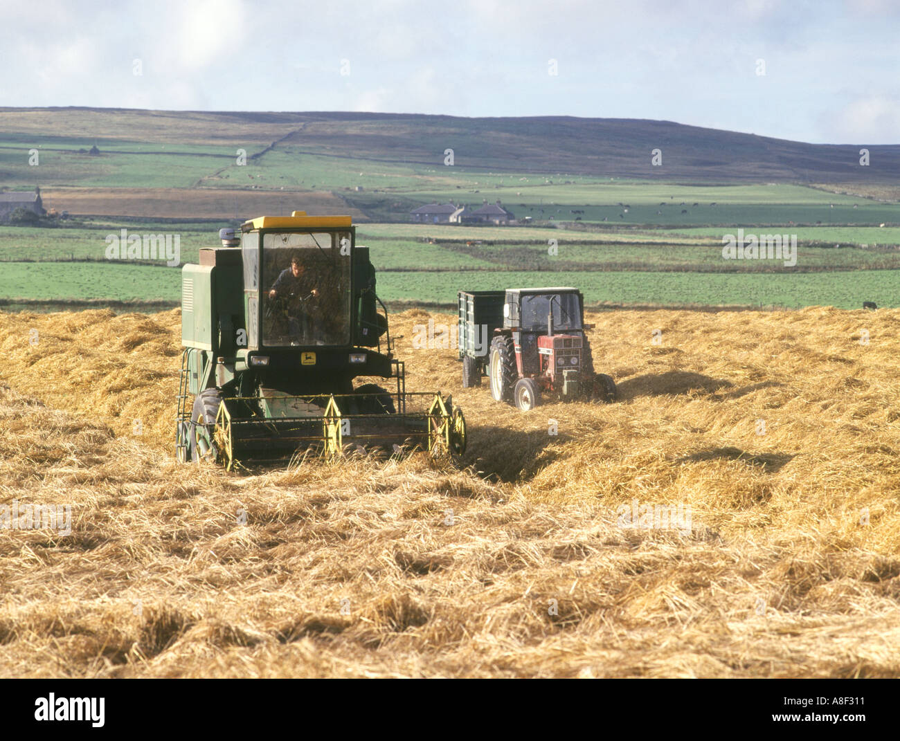 dh HARVESTING UK Combine harvester in field with farm tractor Orkney ...