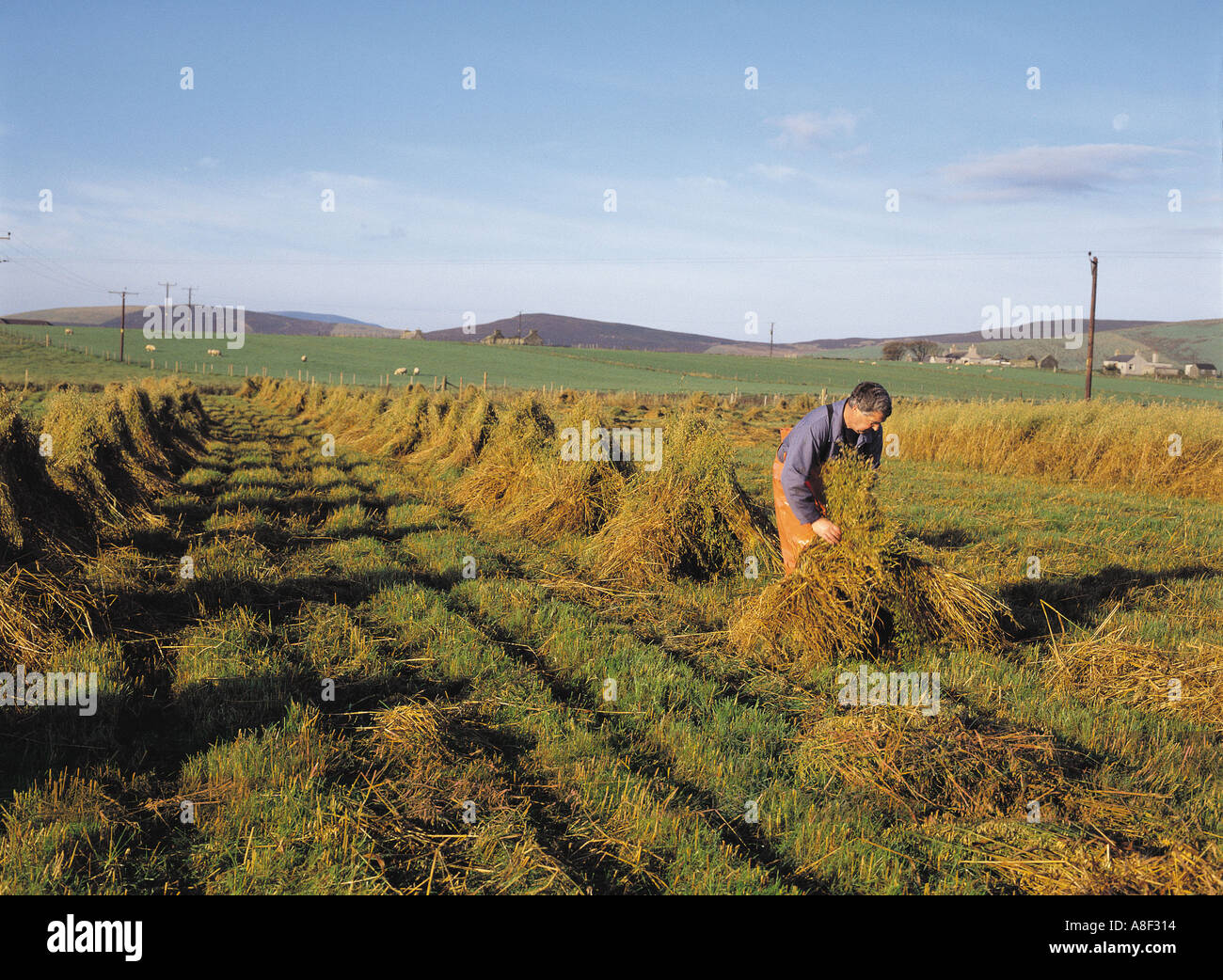 Farm labourer hi-res stock photography and images - Alamy