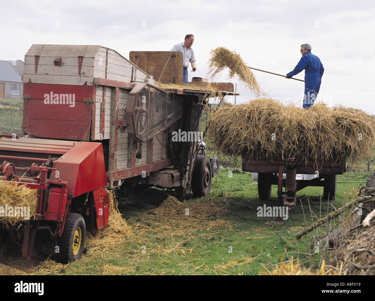 dh Threshing machine HARVESTING UK Old traditional farm workers ...