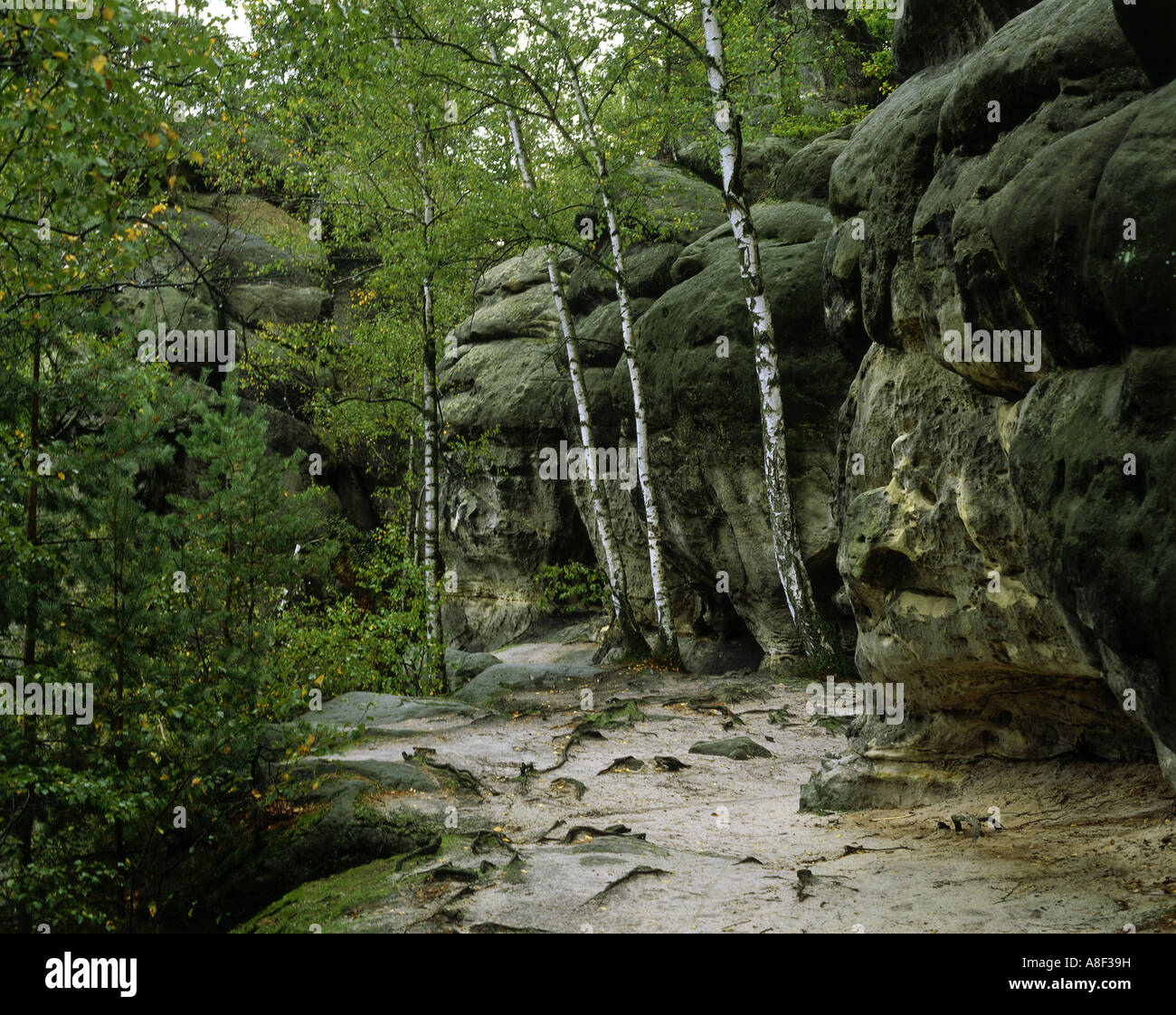 geography / travel, Germany, Saxony, landscape / landscapes, national ...
