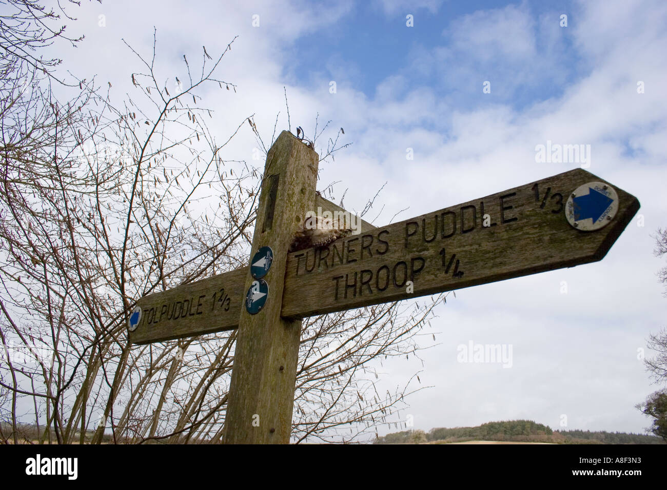 Blue arrow bridleway hi-res stock photography and images - Alamy