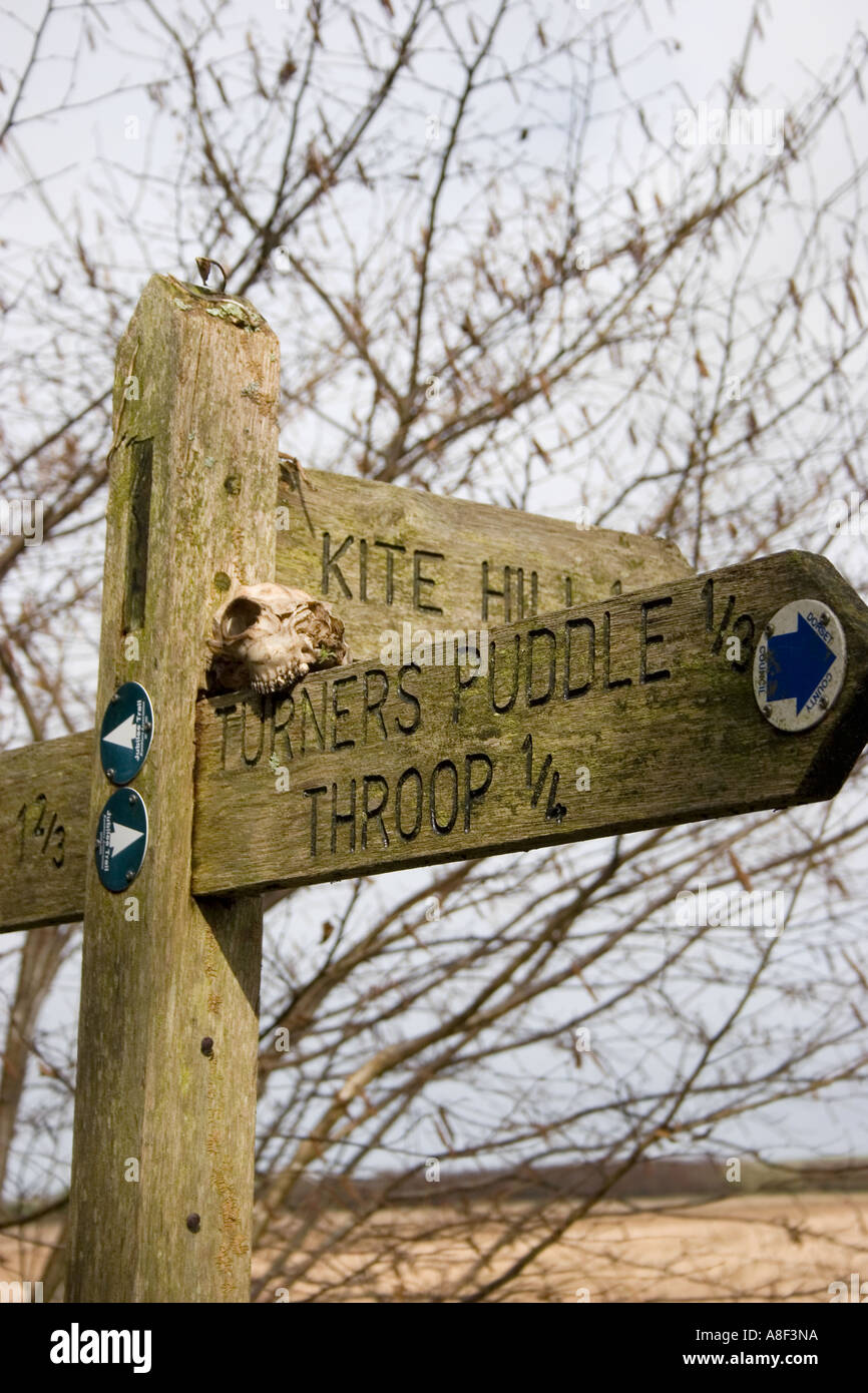 Bridleway Signpost Dorset Stock Photo - Alamy