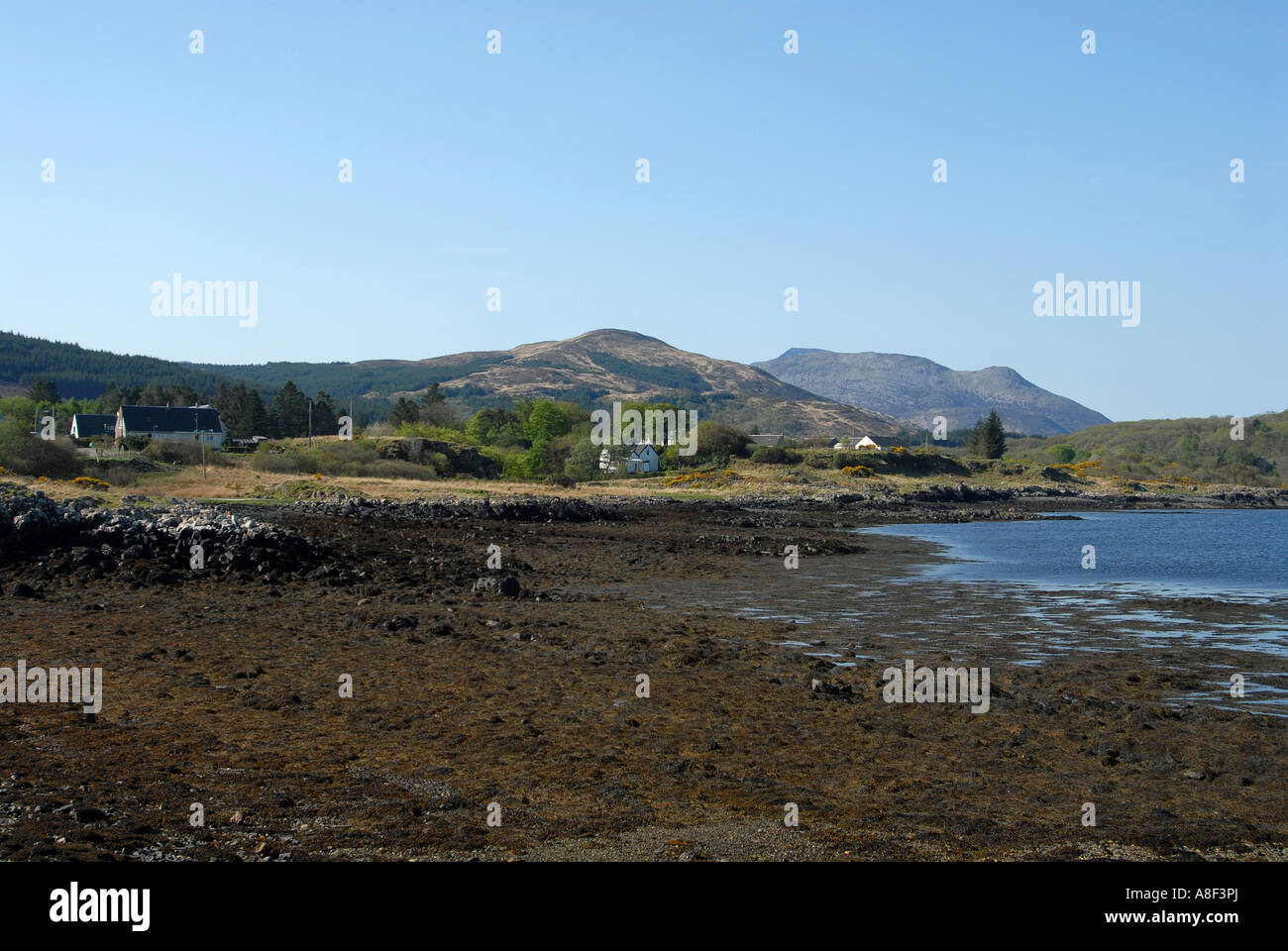 The ruins of 13th century Aros Castle on the Mull coast overlooking the ...