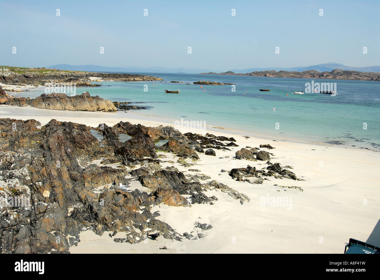 The white beach and clear blue sea of the Sound of Iona on the ...