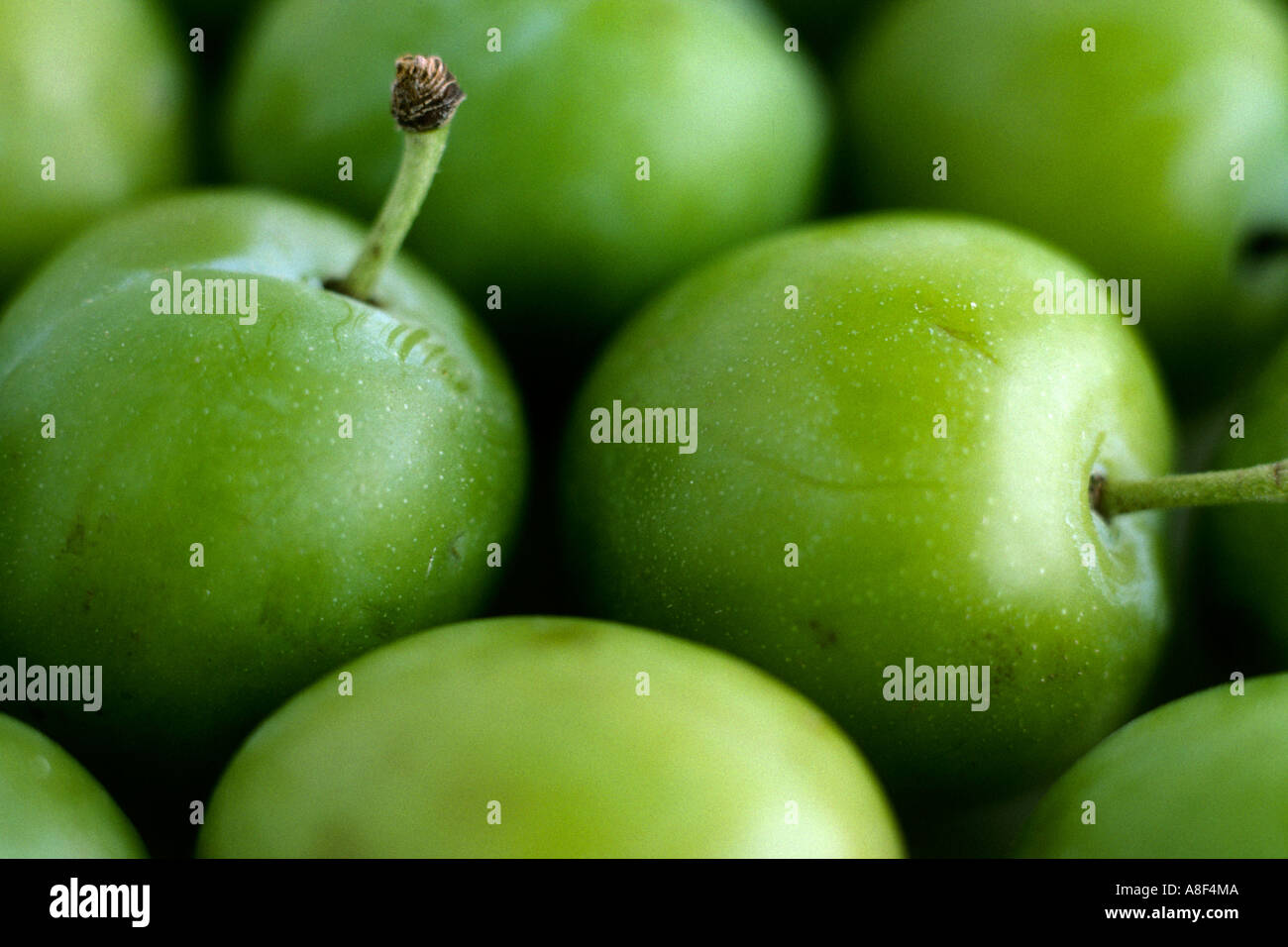 Claude green hi-res stock photography and images - Alamy