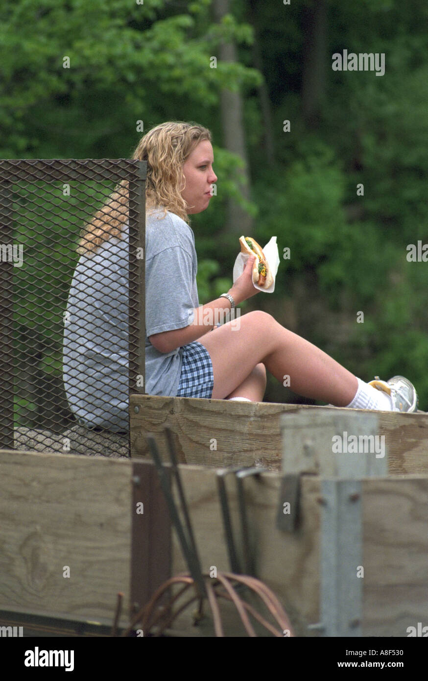 Aids walk participant age 16 eating lunch at Minnehaha Park ...