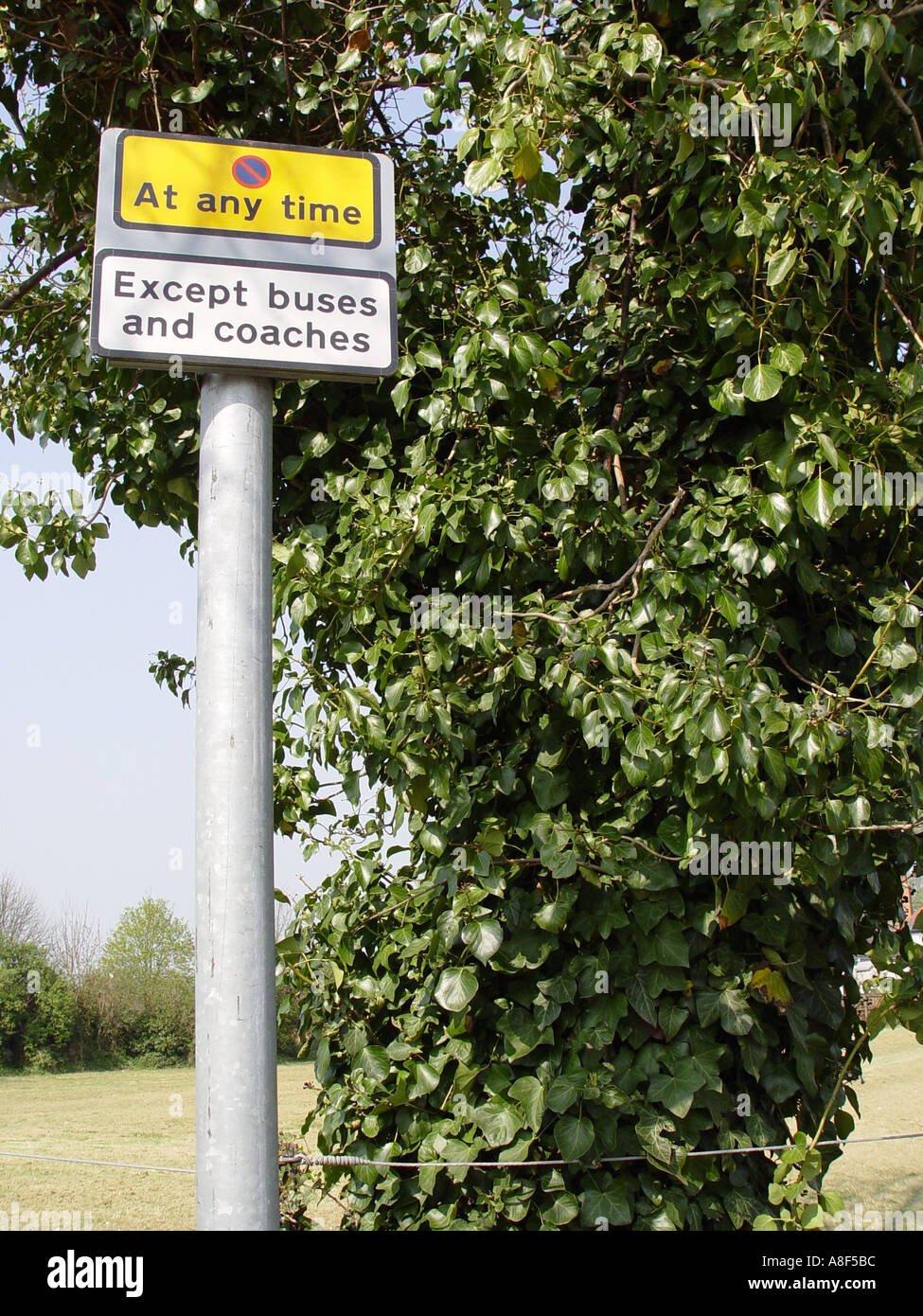 Except buses road sign hi-res stock photography and images - Alamy