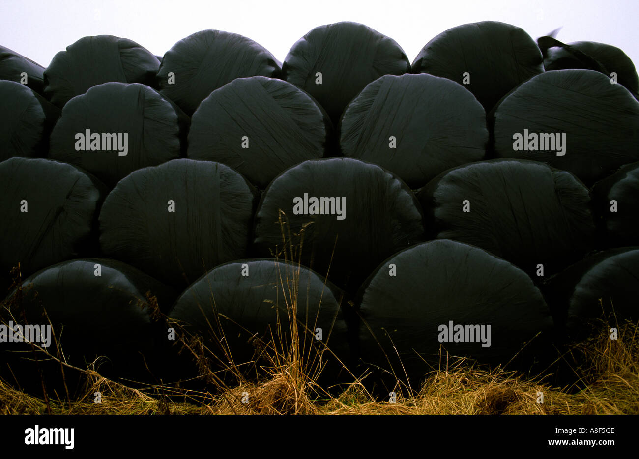 Wrapped bale hi-res stock photography and images - Alamy