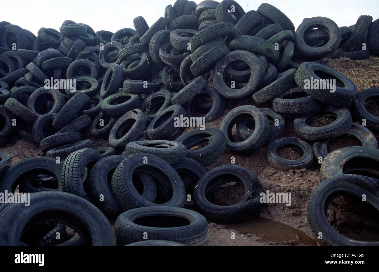 Recycling old land hi-res stock photography and images - Alamy