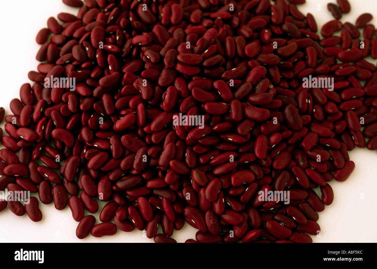 Red kidney beans Stock Photo - Alamy