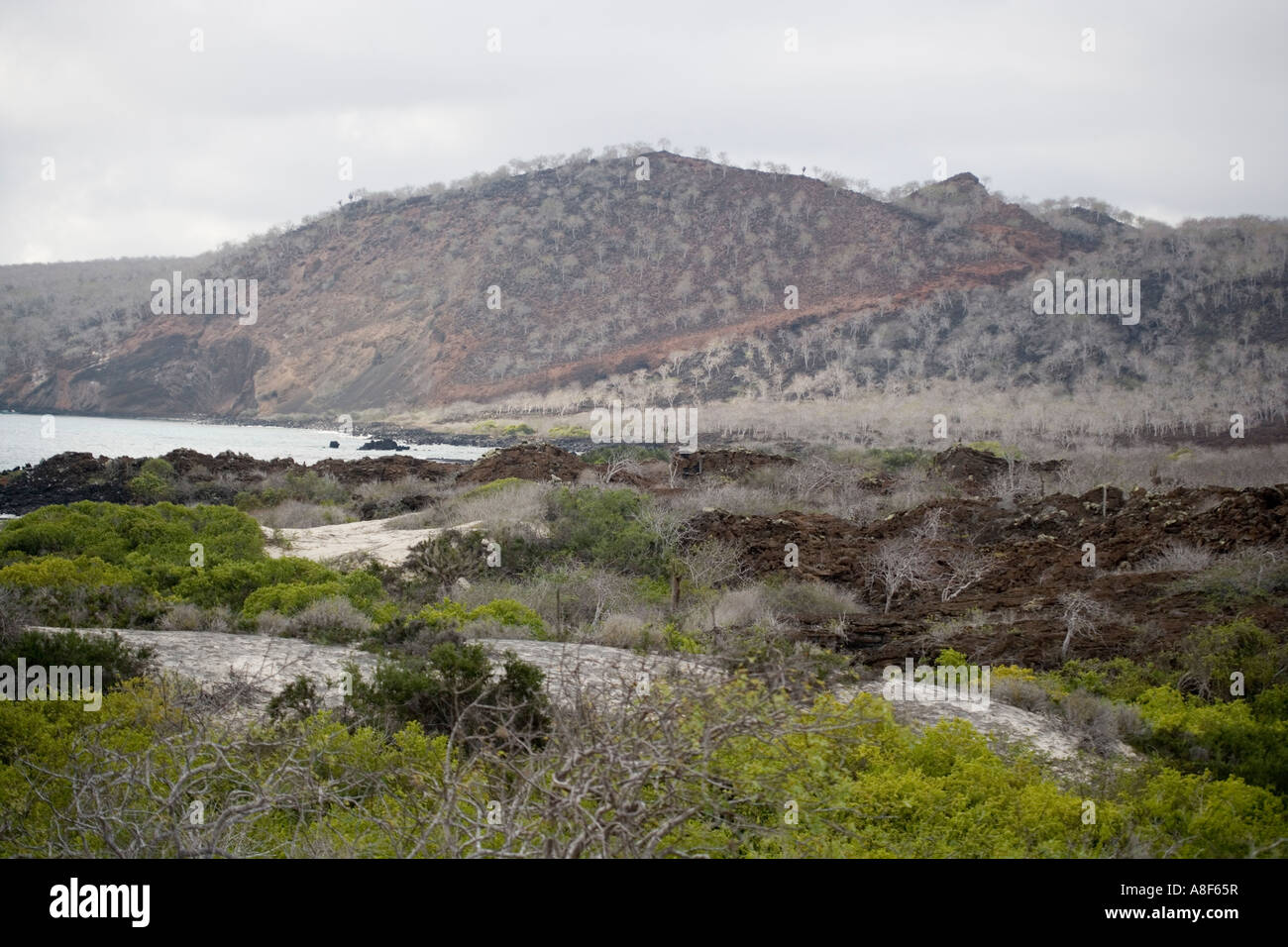 Ash cones of Floreana Island Galapagos Stock Photo - Alamy