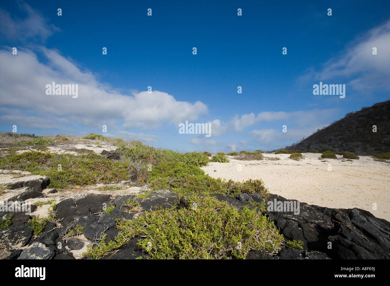 Landscape near Punta Cormorant on the Island of Floreana Galapagos ...