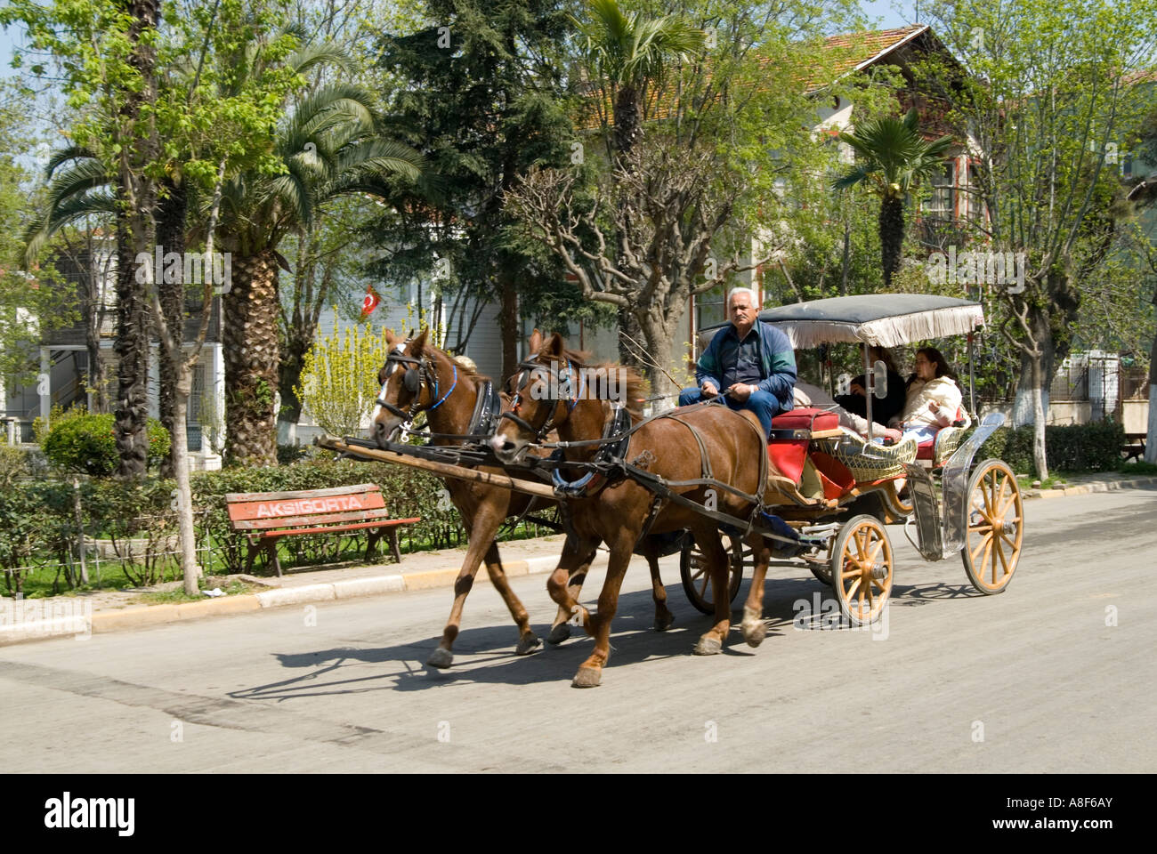 Horse and carriage ride on Buyukada, one of the Princes Islands, Turkey ...