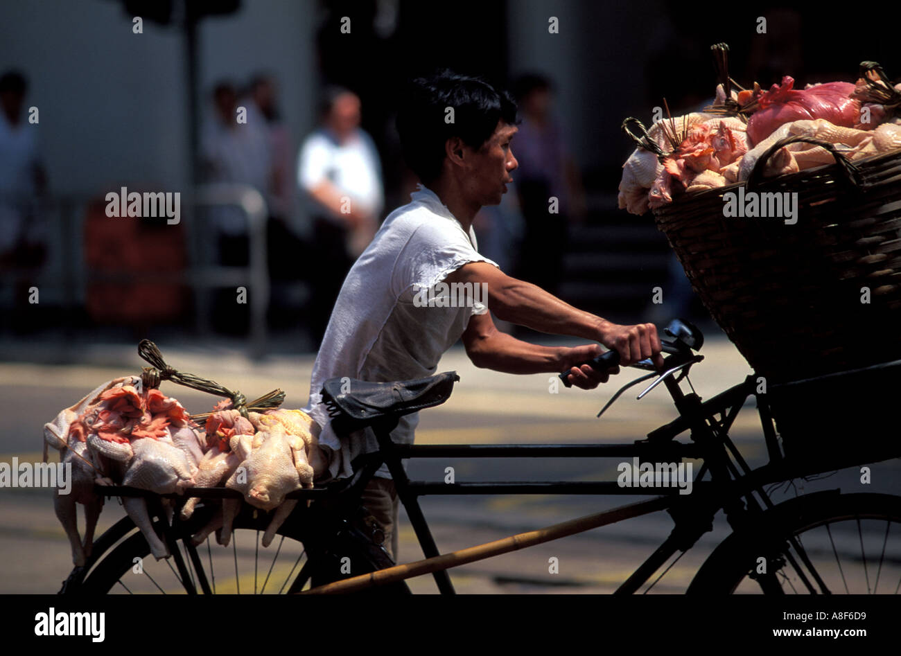Chinese Cyclist Pushing His Bike Laden With Fresh Chickens Through ...