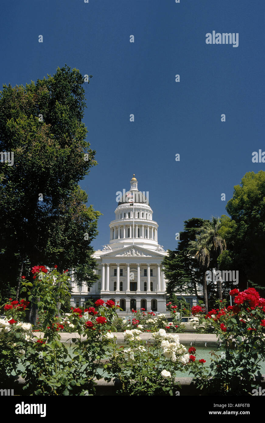 Rose column pond hi-res stock photography and images - Alamy