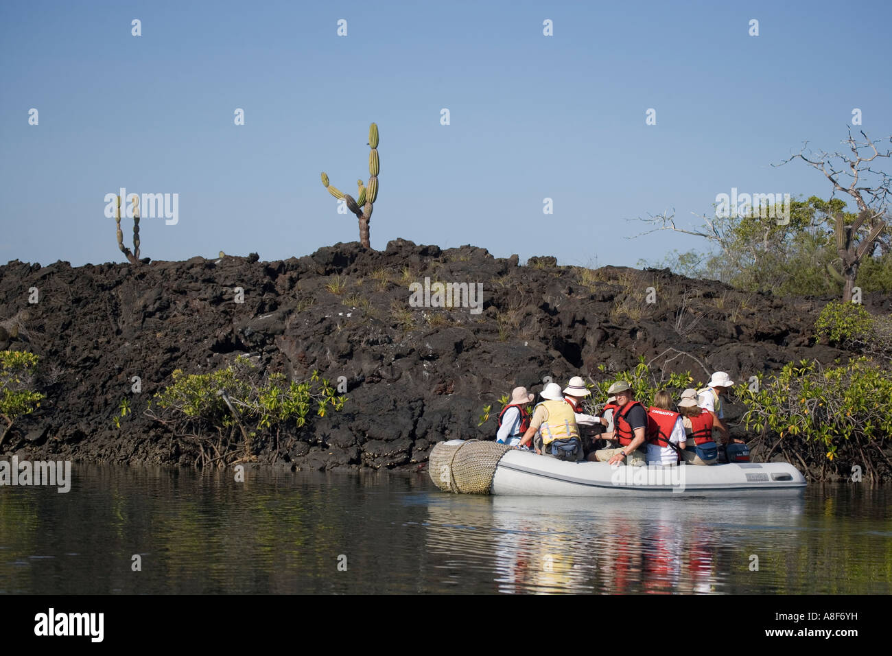Volcanic coastline at Punta Moreno Stock Photo - Alamy