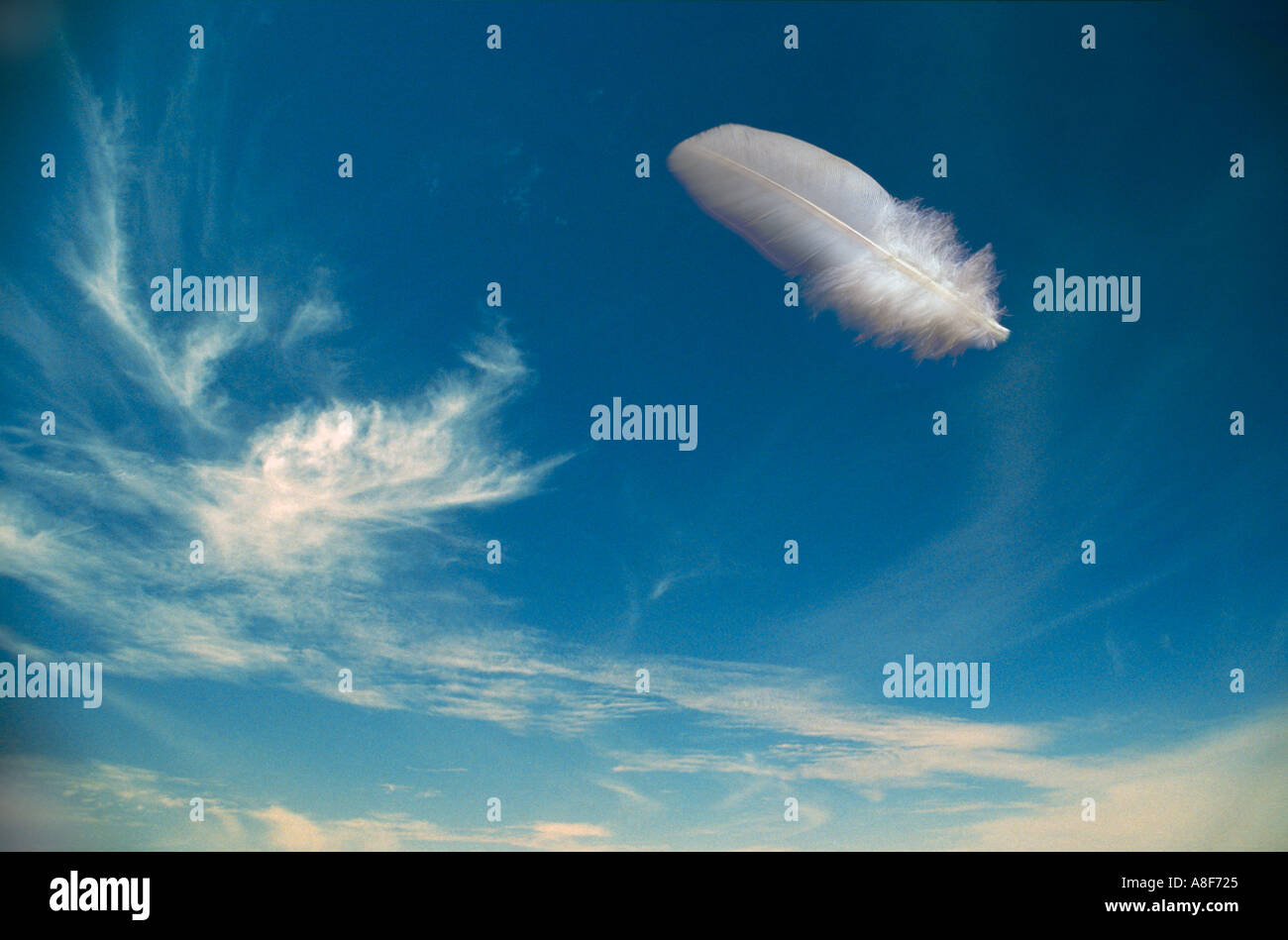 Floating cotton wool clouds hi-res stock photography and images - Alamy