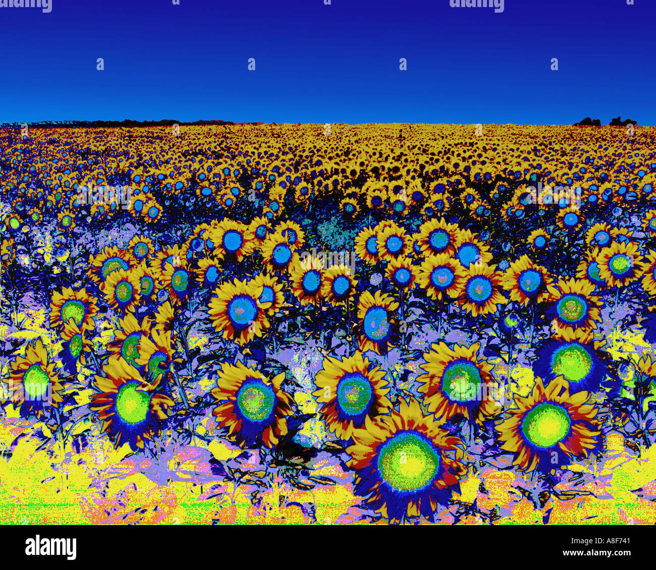 Strange flowers with strange colors hi-res stock photography and images ...