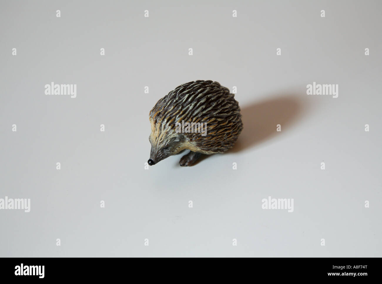 hedgehog in plastic on white Stock Photo - Alamy