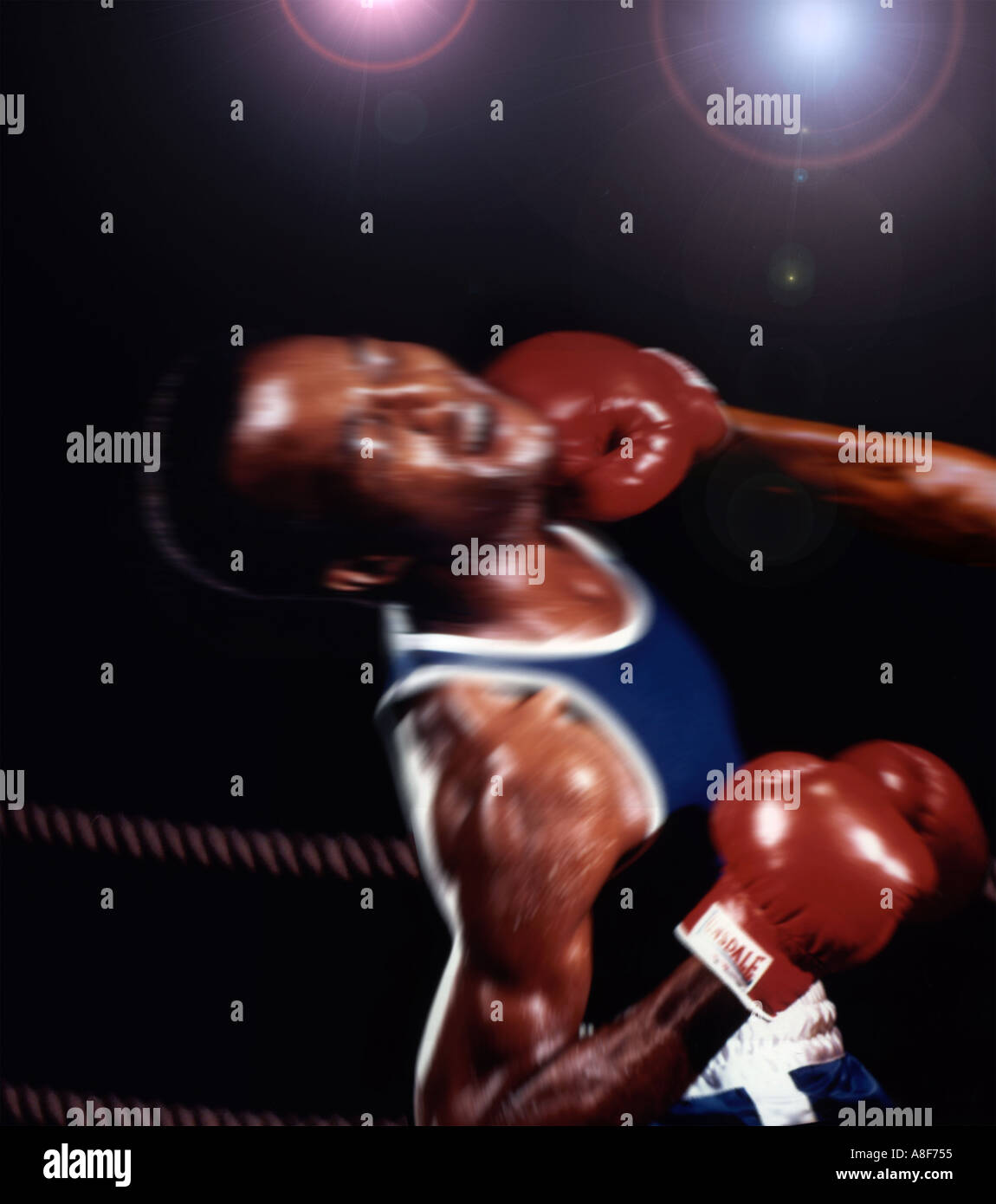 Knockout punch in a boxing match Stock Photo - Alamy