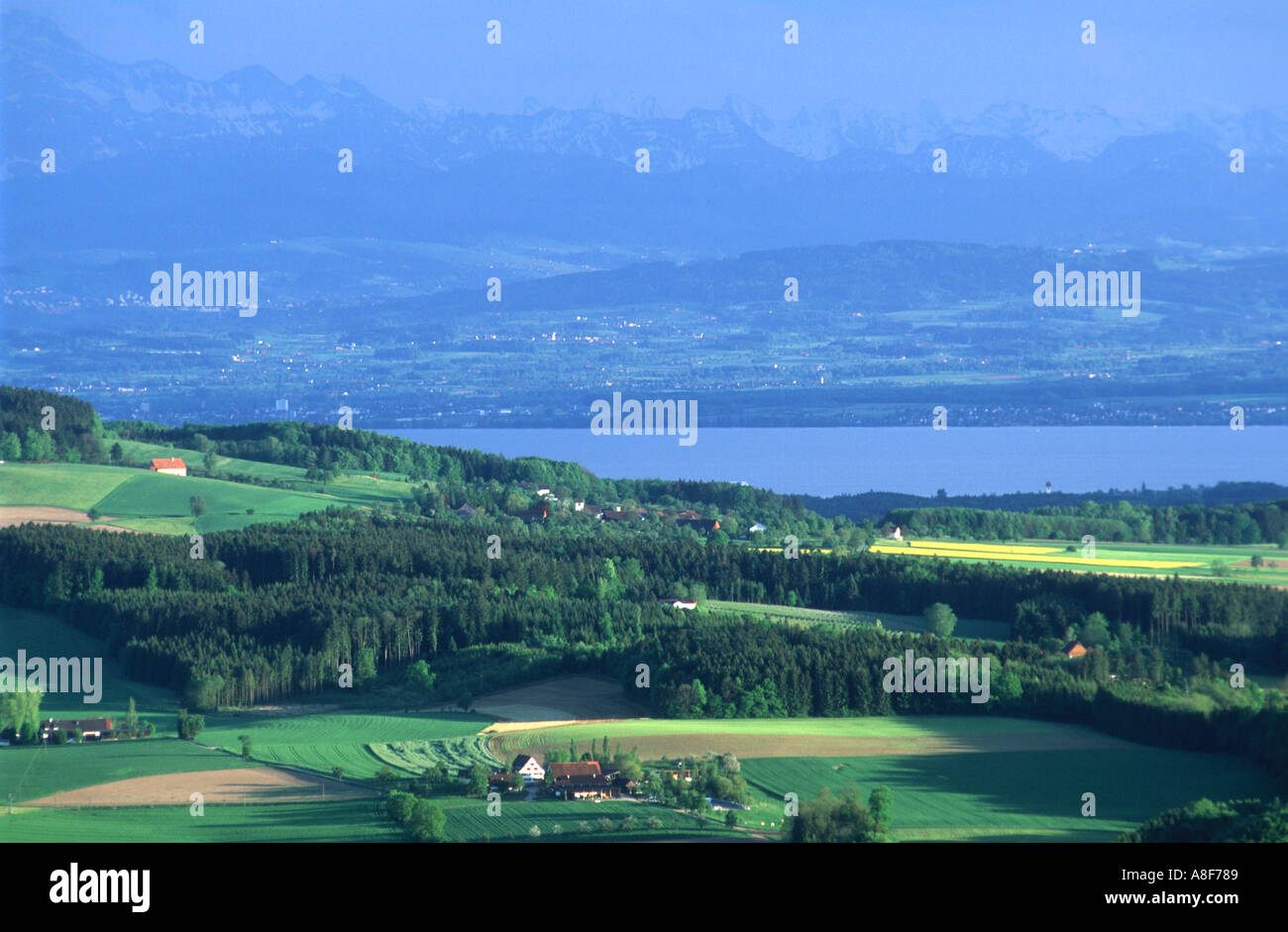 Lake Constance view with Swiss mountains, Viewpoint Am Hoechsten Lake ...