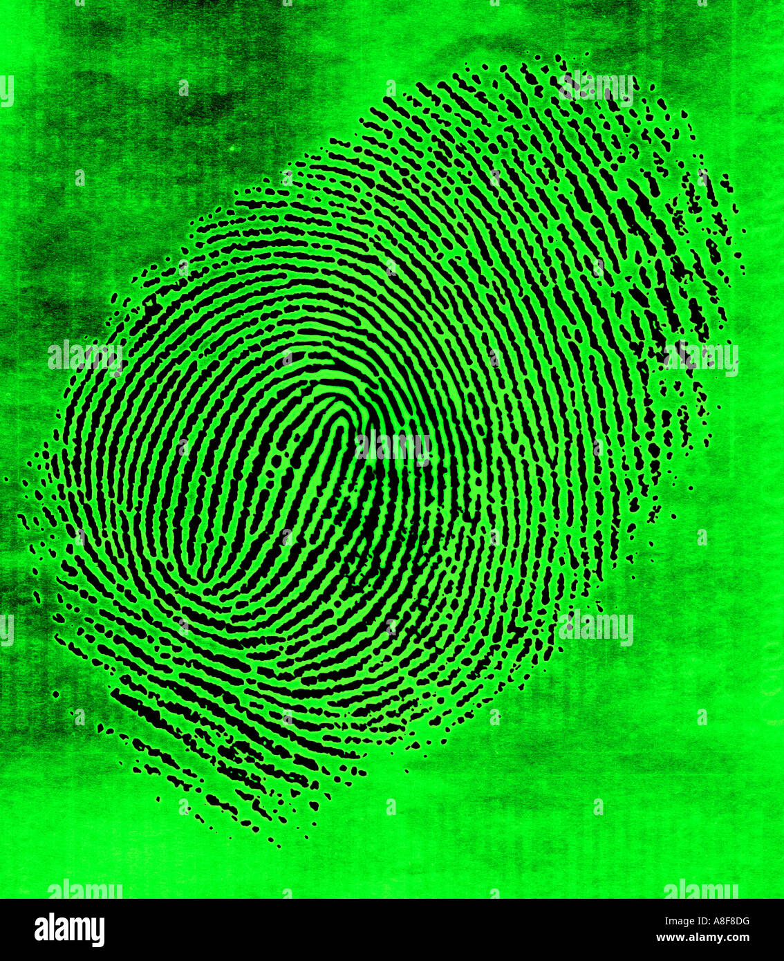 Fingerprint hi-res stock photography and images - Alamy