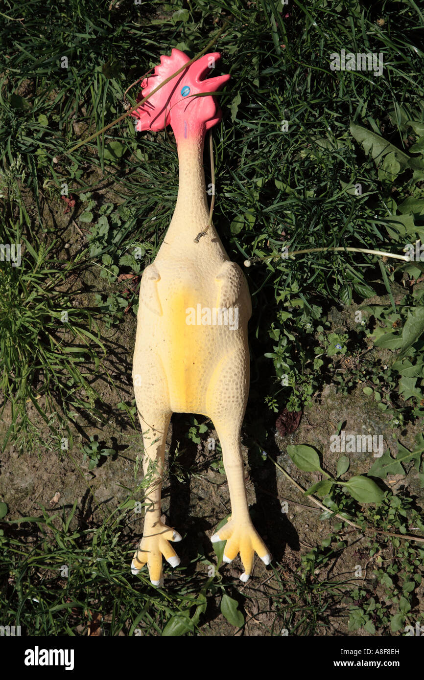 chicken made of plastic Stock Photo - Alamy
