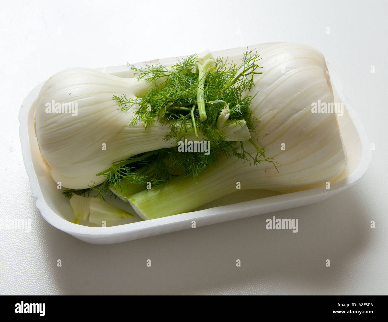 Fennel plant container hi-res stock photography and images - Alamy