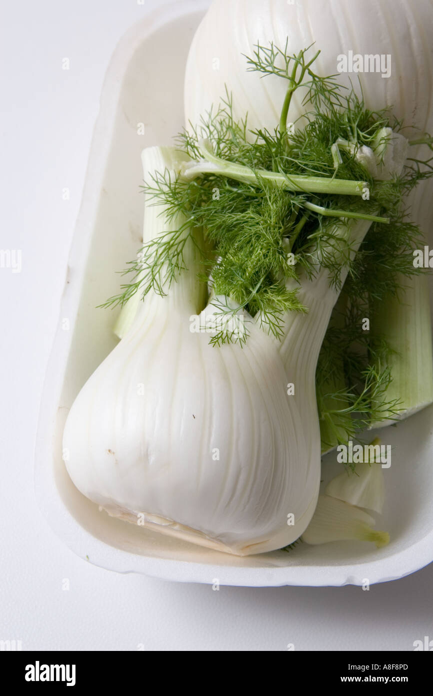 Fennel plant container hi-res stock photography and images - Alamy