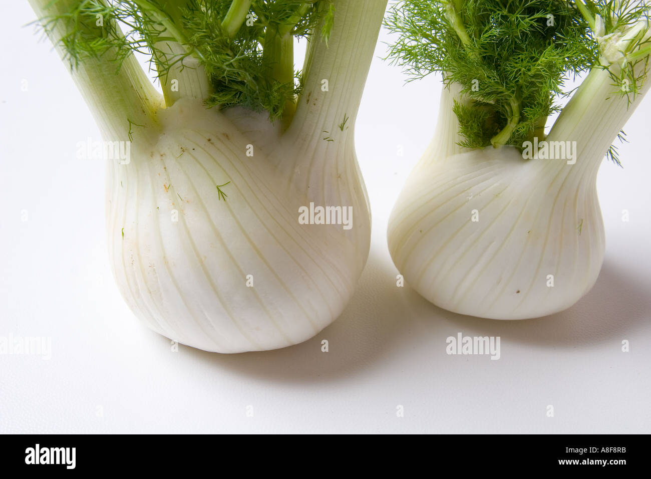 fennel, vegetables, eat, top, close up, white, green, plant, leaves ...