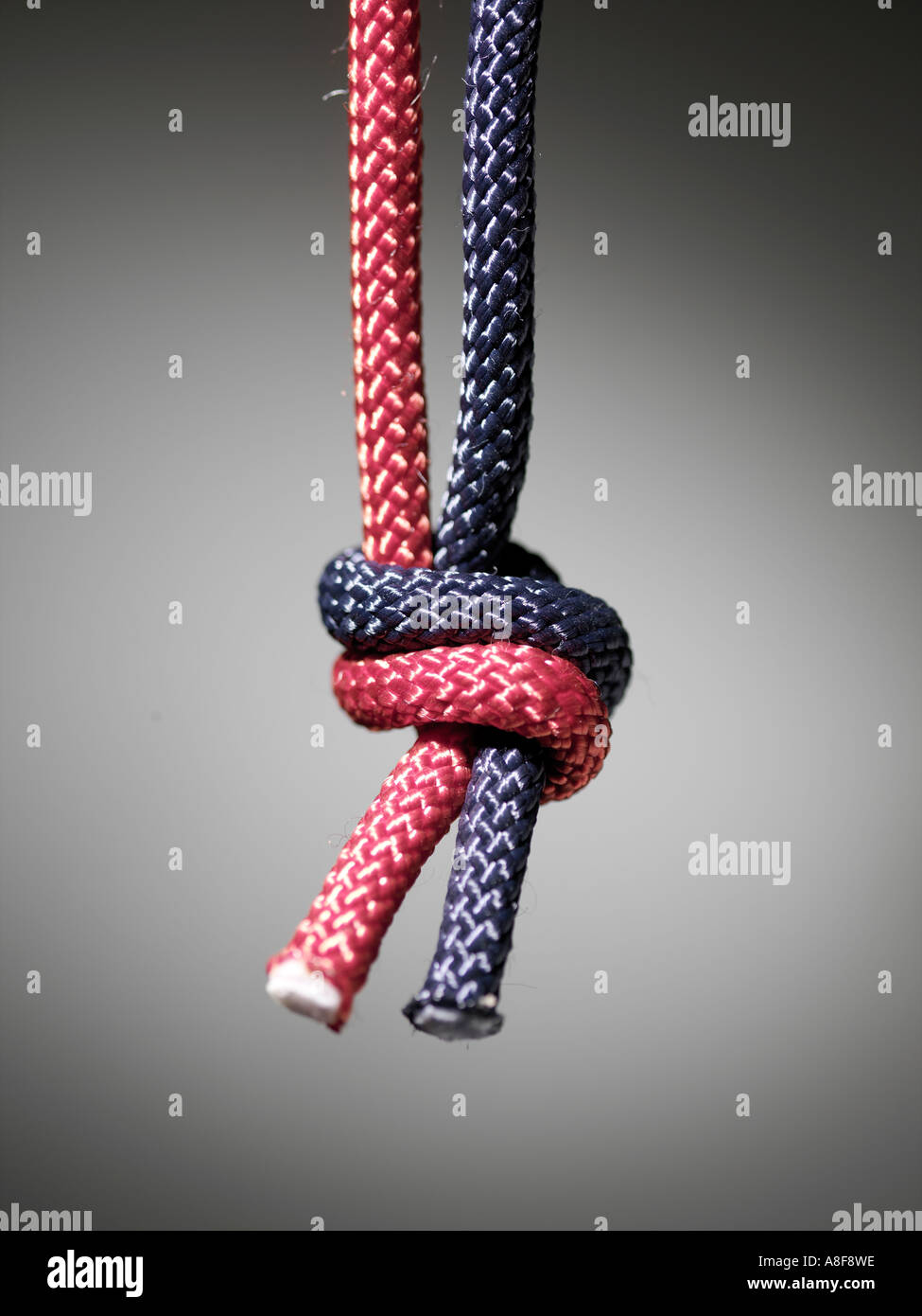 rope, twice, tied knot, blue, red, tough, close up, gray background ...