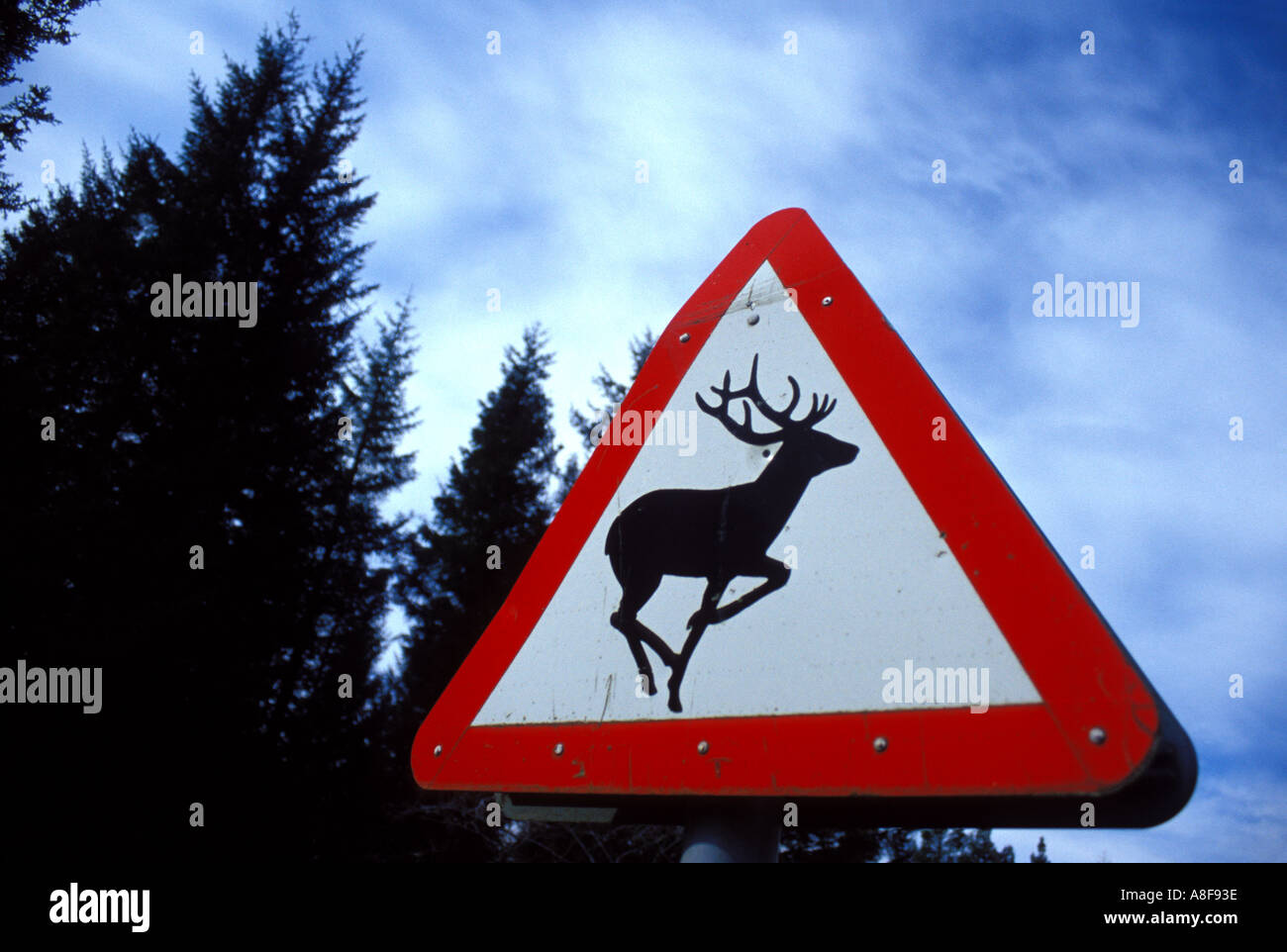 Scotland UK Deer road warning sign Scottish highlands Stock Photo - Alamy