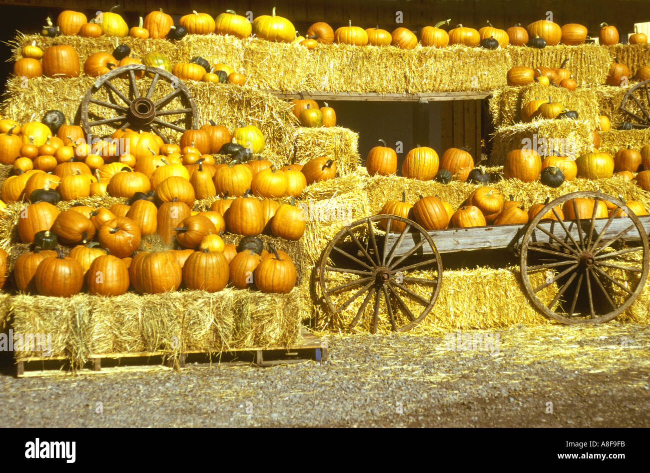 Pumpkin cart in Canadian rockies Stock Photo - Alamy