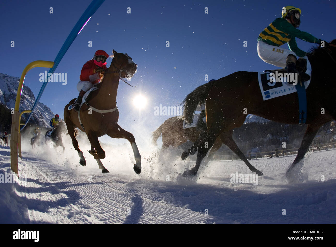St moritz horse jockey hi-res stock photography and images - Alamy