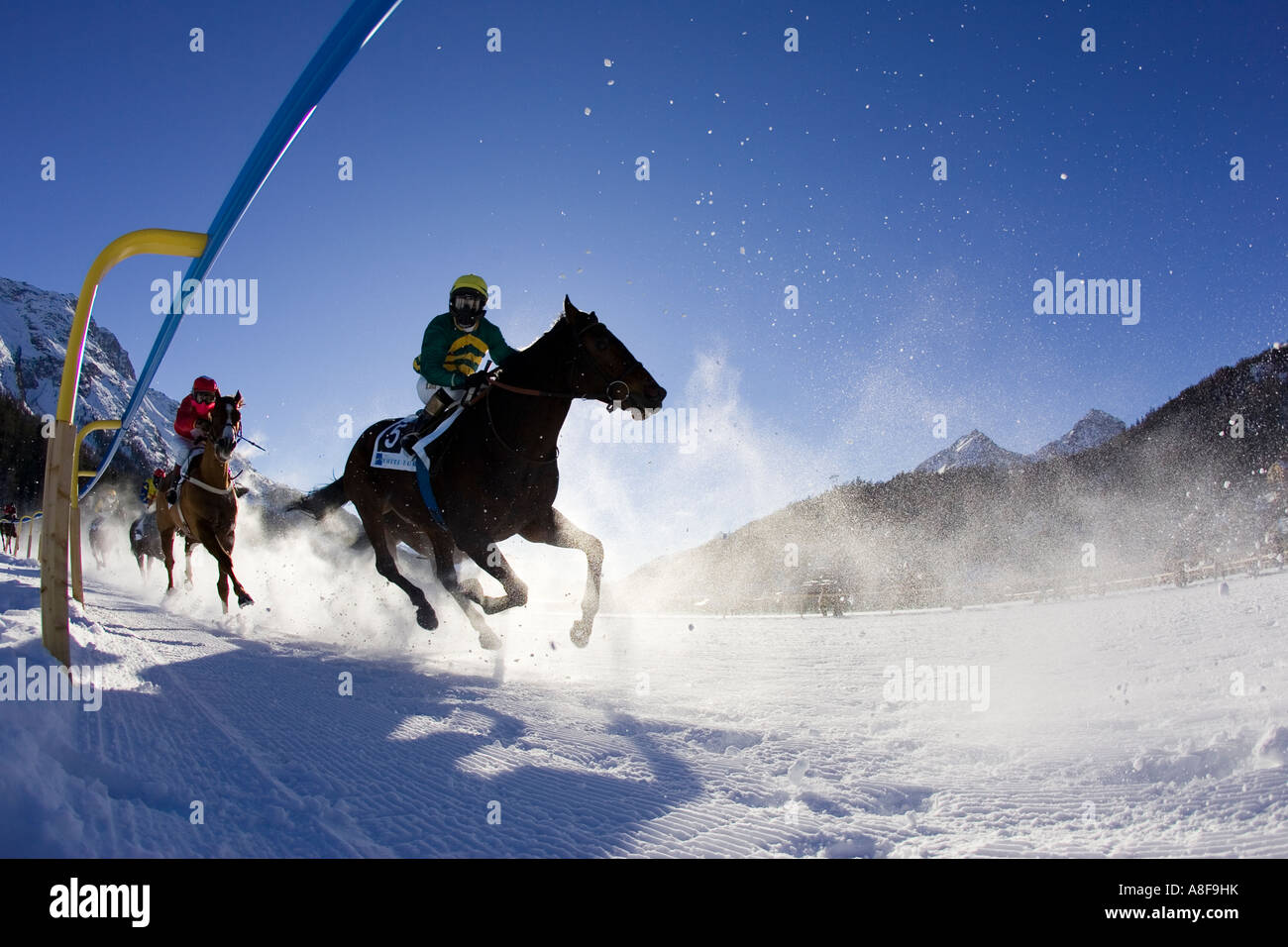 Flat racing horse hi-res stock photography and images - Alamy