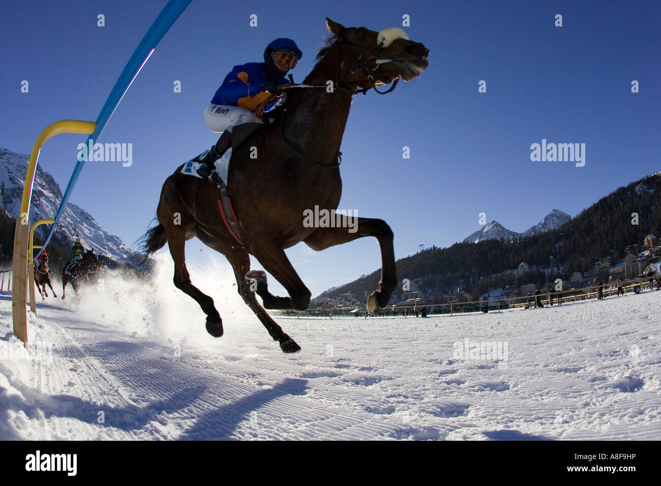 Flat racing horse hi-res stock photography and images - Alamy